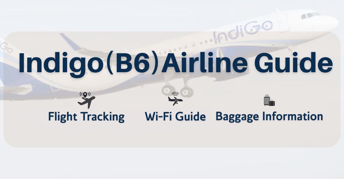IndiGo Airlines Guide 2026 | Flight Tracking & Baggag