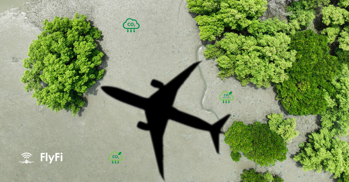 The Future of Green Flying: Sustainable Aviation Fuel & Electric Planes